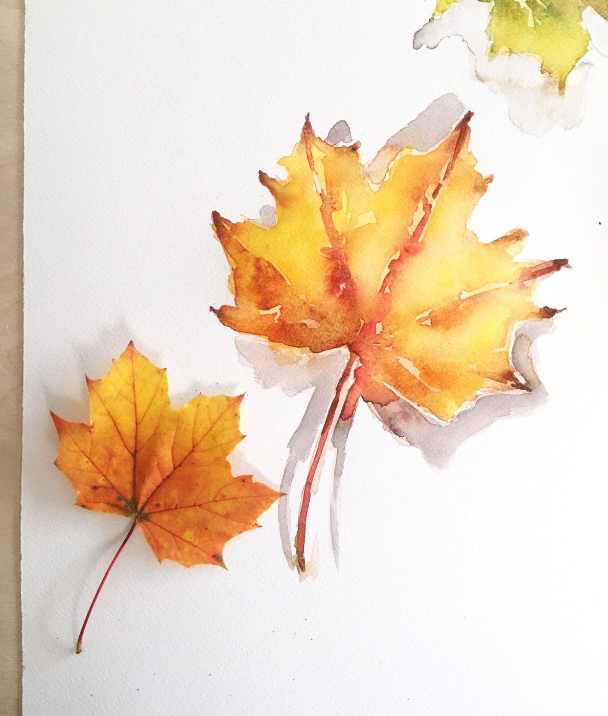 How to Paint Loose Watercolour Leaves - Jennifer Rose Gallery